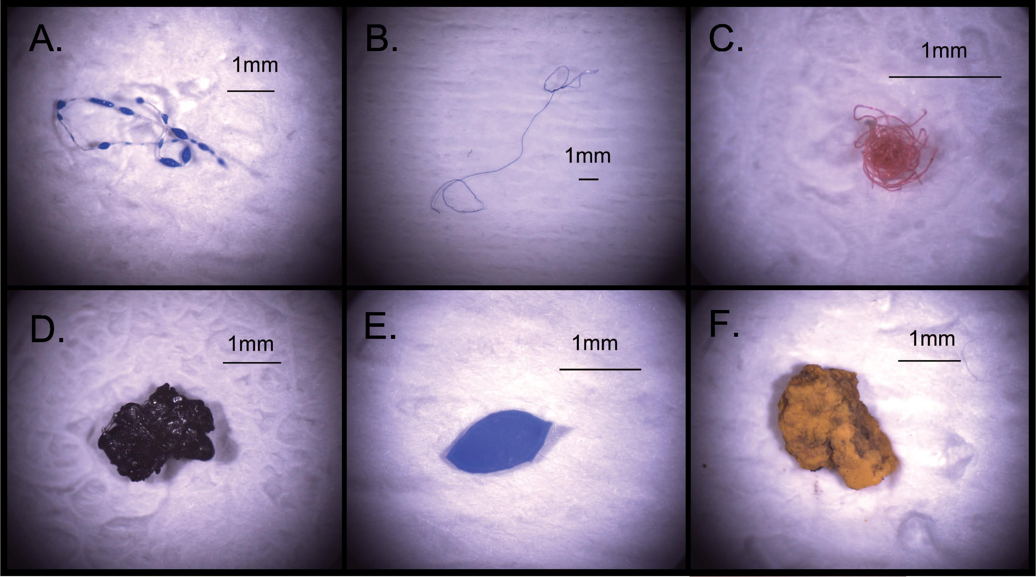 Research in the news | Benjamin Davidson