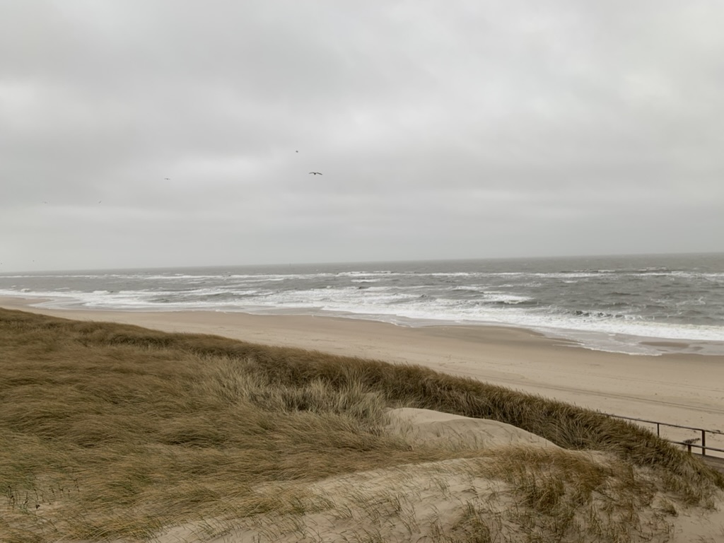 Delta Certificate | Benjamin Davidson